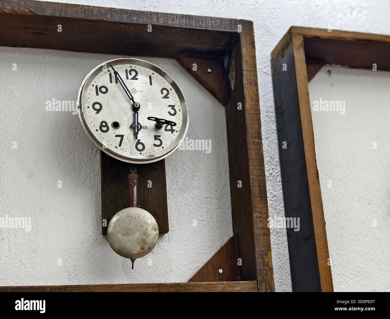 Ansonia hi-res stock photography and images - Alamy