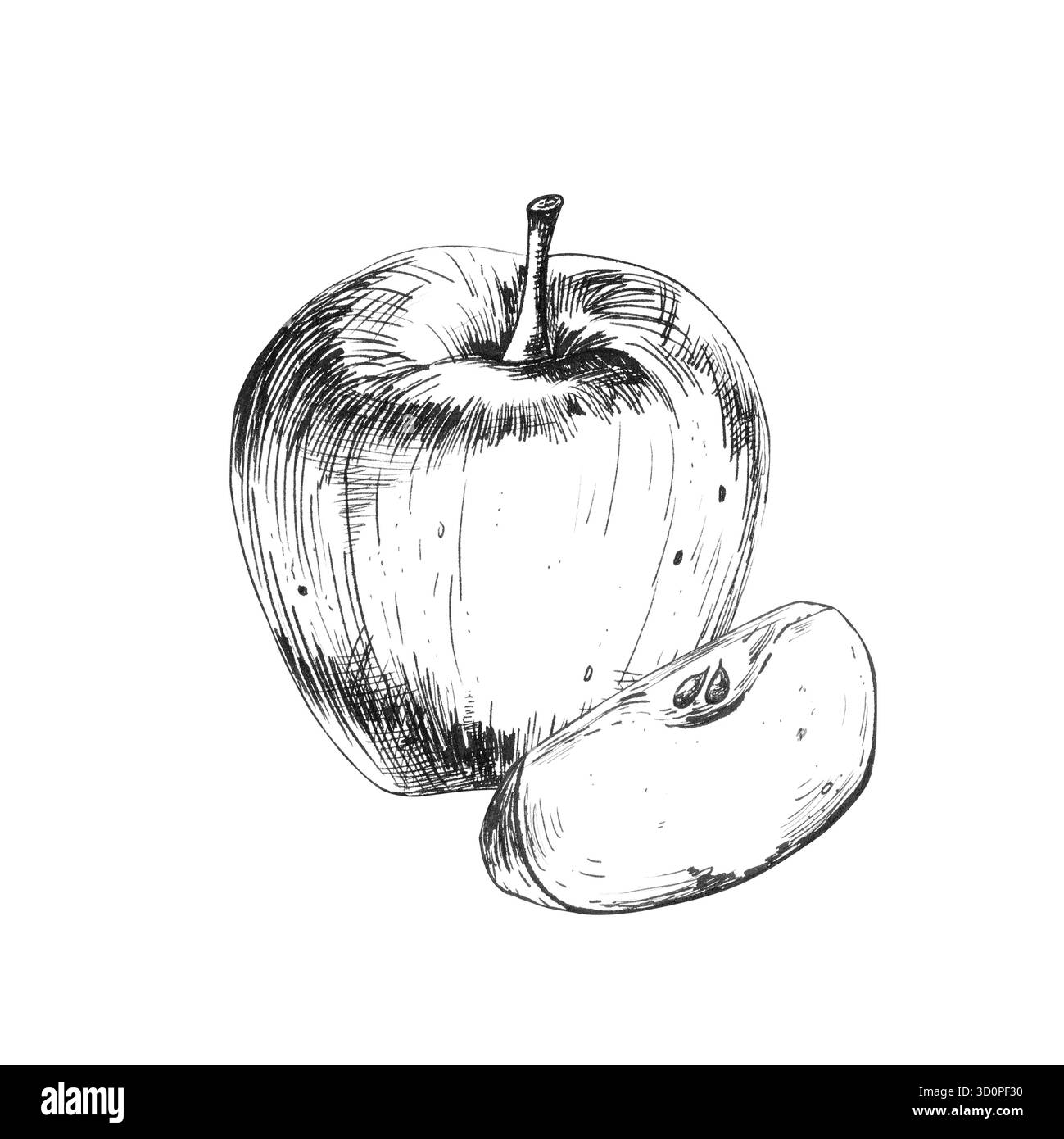 Illustration apple slice hand Black and White Stock Photos & Images - Alamy