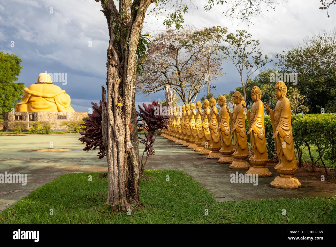 A spectacular view of dozens of standing Buddha figures leading towards ...