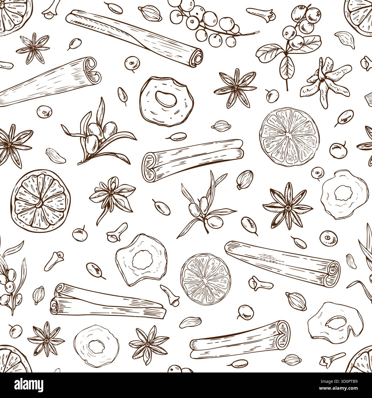 Orange sea buckthorn plant Stock Vector Images - Alamy