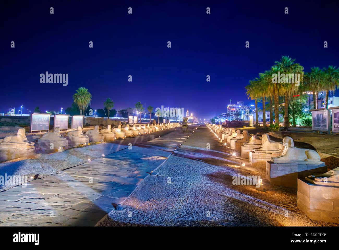Night view of the illuminated Sphinx Avenue at Luxor Temple in Egypt ...