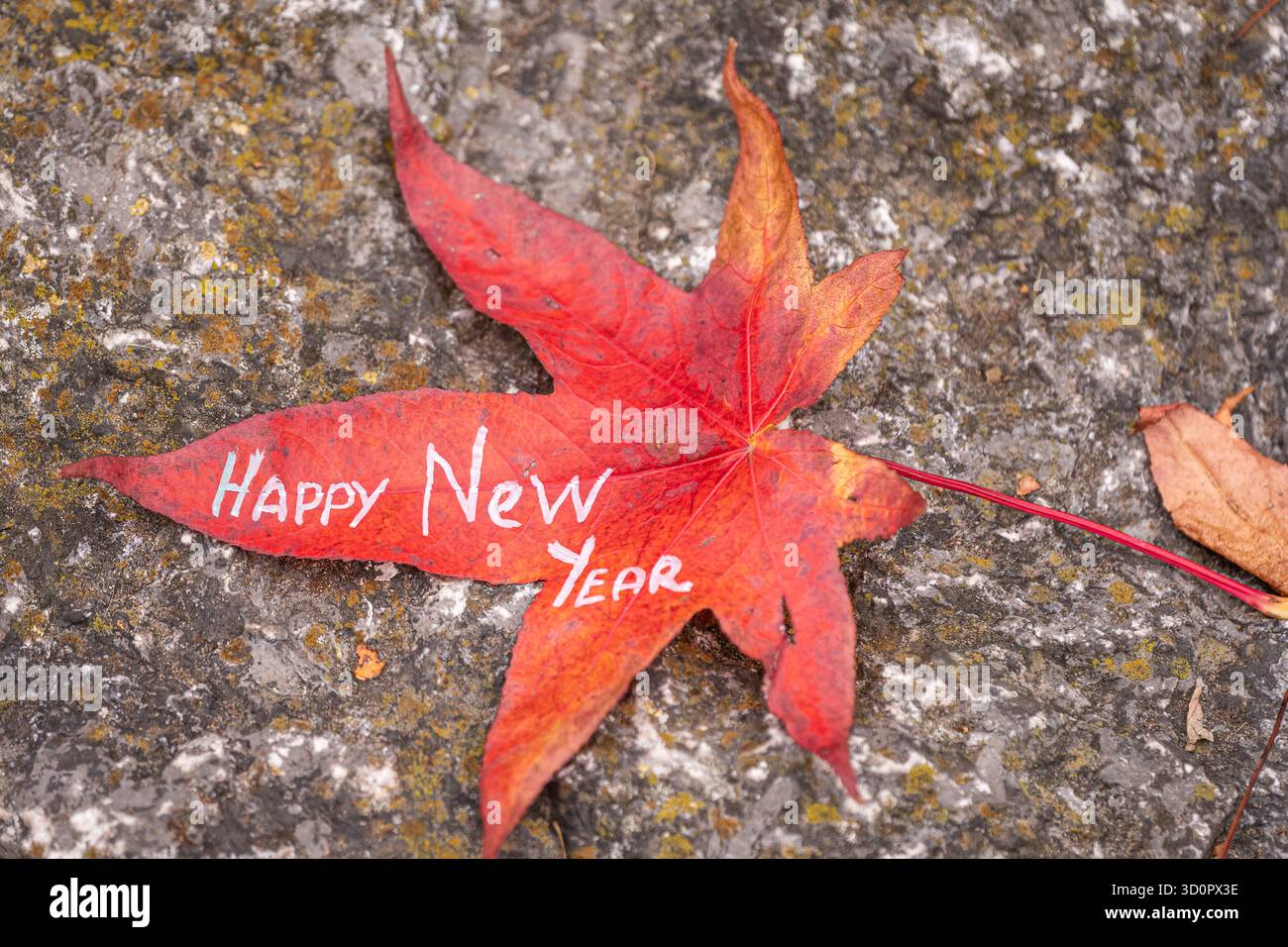 Eco 2026 hi-res stock photography and images - Alamy