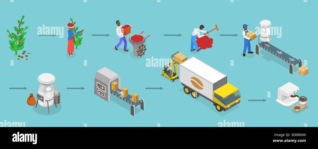 3D Isometric Flat Illustration of Stages Of Coffee Production ...
