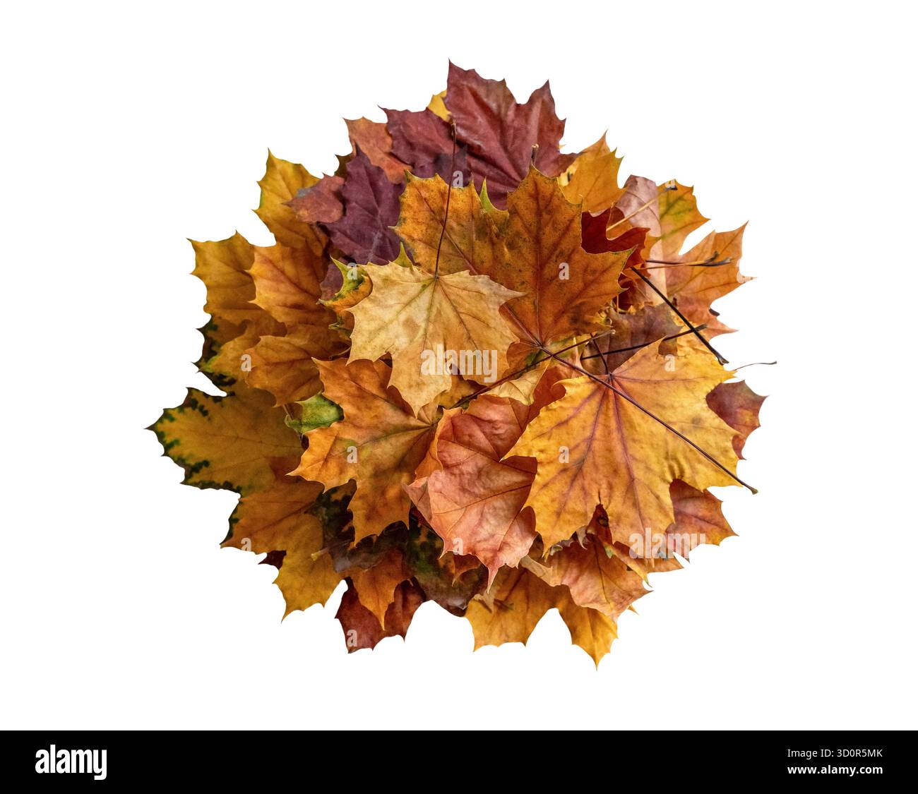 In warm shades of red Cut Out Stock Images & Pictures - Alamy