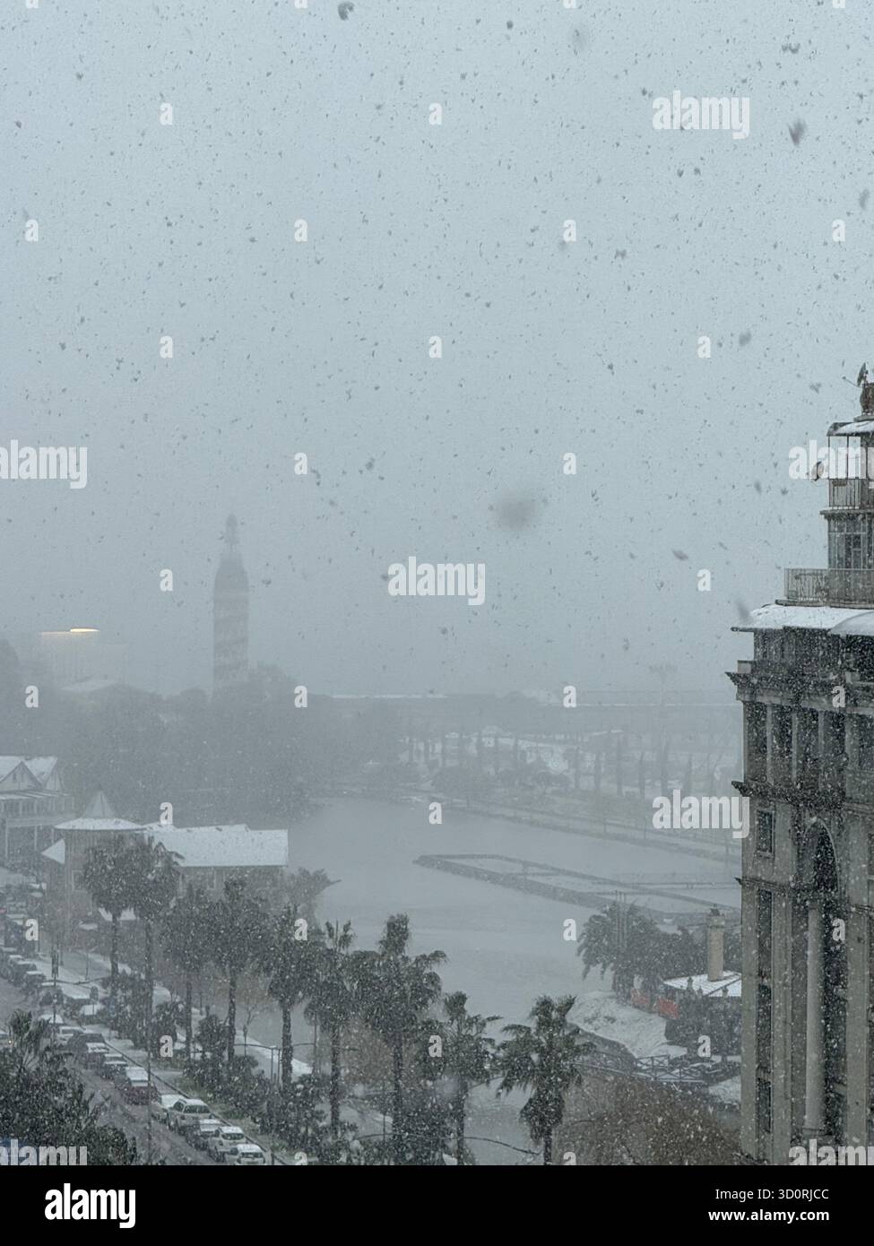 The image shows a coastal cityscape with cars, palm trees, and a tower ...