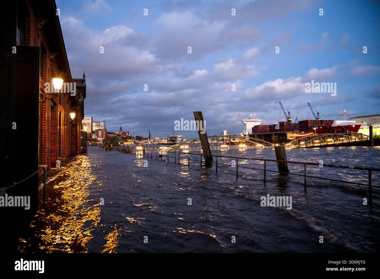 Hamburg, Germany. 24th Oct, 2025. The fish market with the fish auction ...