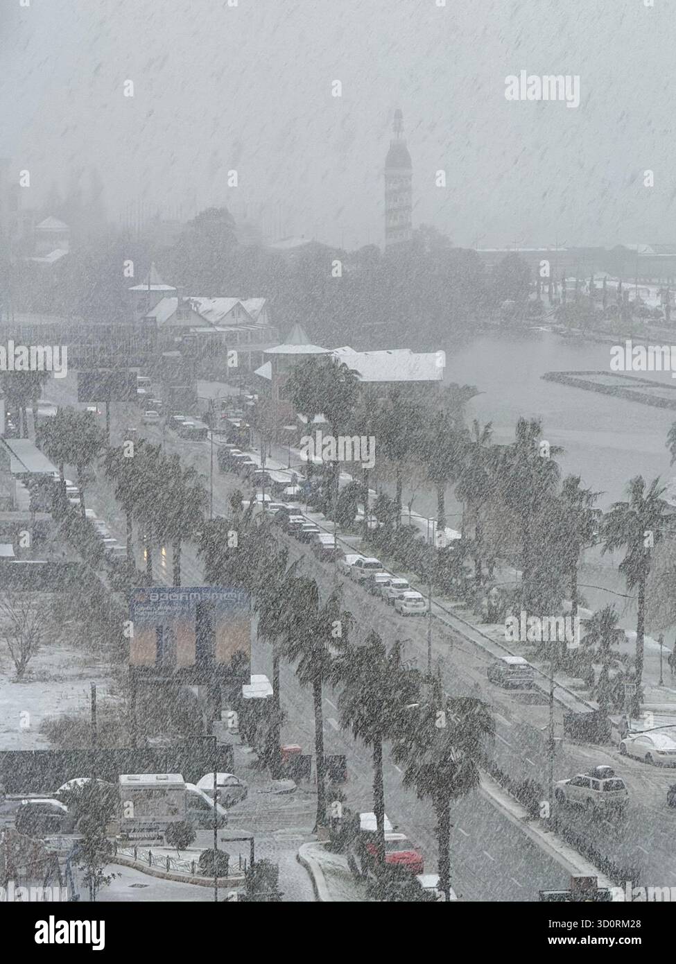 The image shows a coastal city during heavy snowfall with cars, palm ...