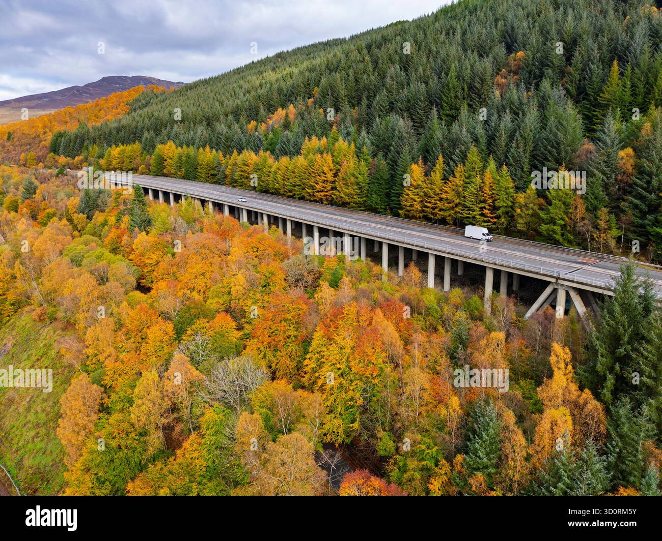 Aerial views of autumn colours in trees beside the A9 highway viaduct ...