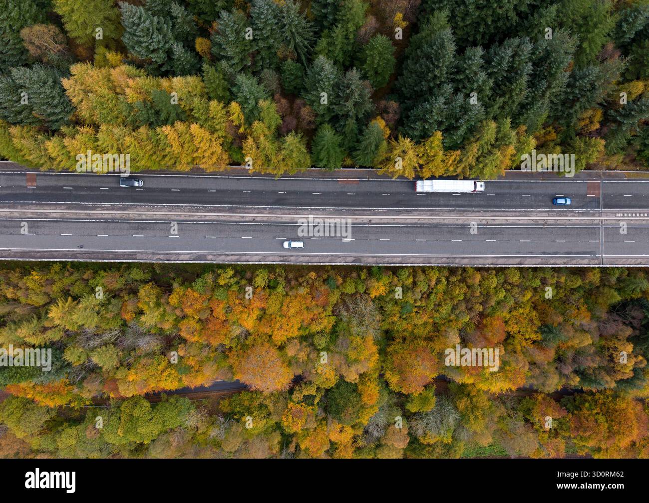 Aerial views of autumn colours in trees beside the A9 highway viaduct ...