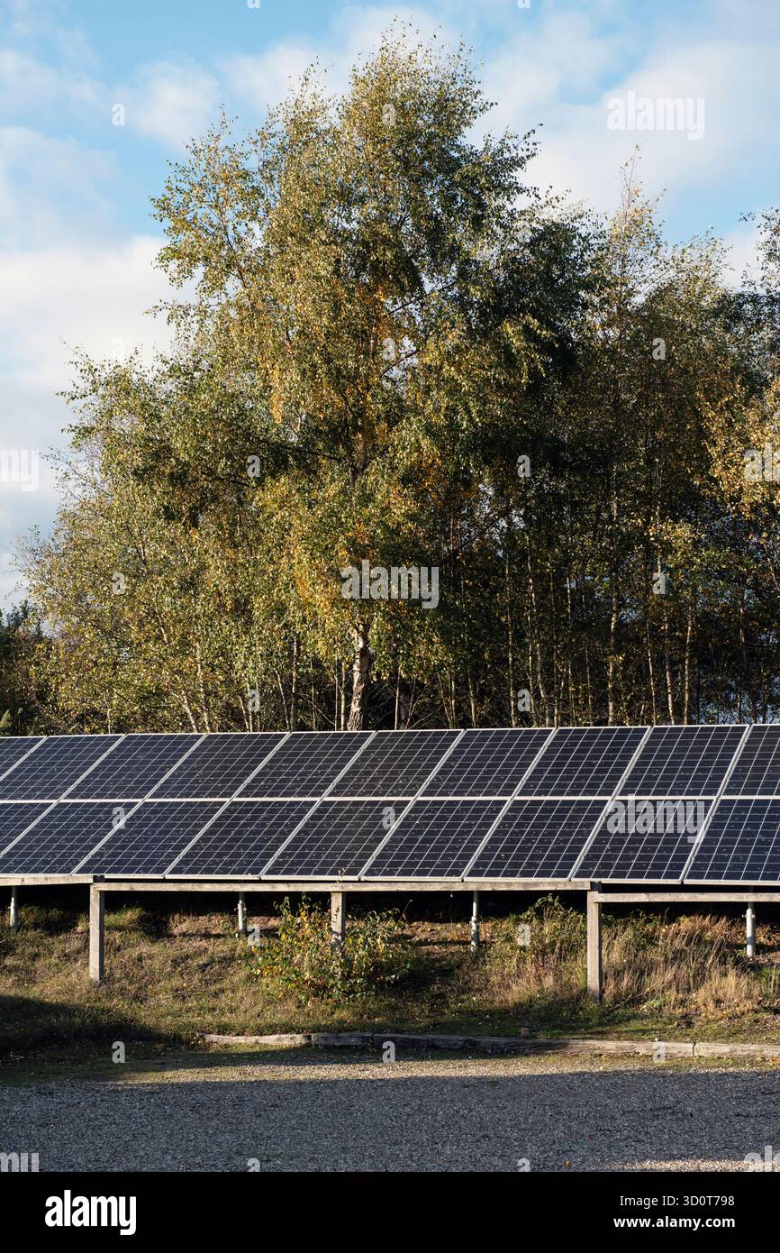 mass of solar panels in large installation, suffolk, england Stock ...