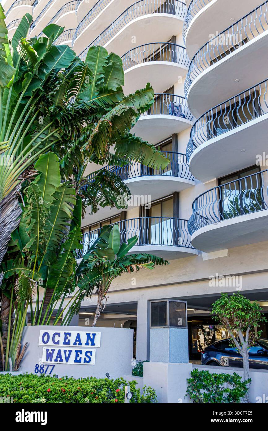 Balconies with blue railings tropical palm trees foreground hi-res ...