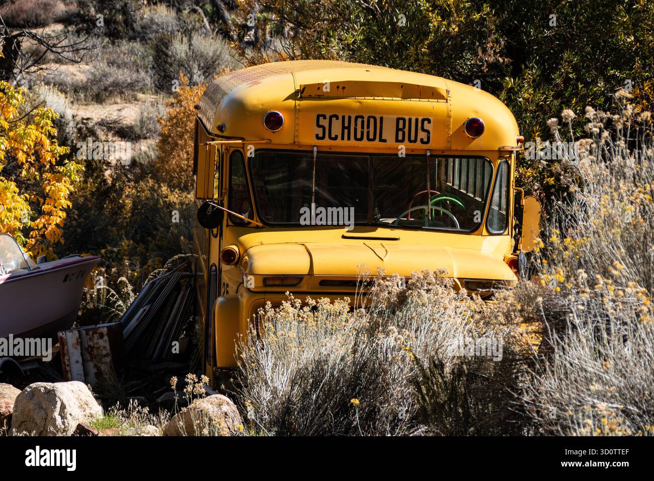 Junk School Bus. An old school bus is abandoned in the country Stock ...