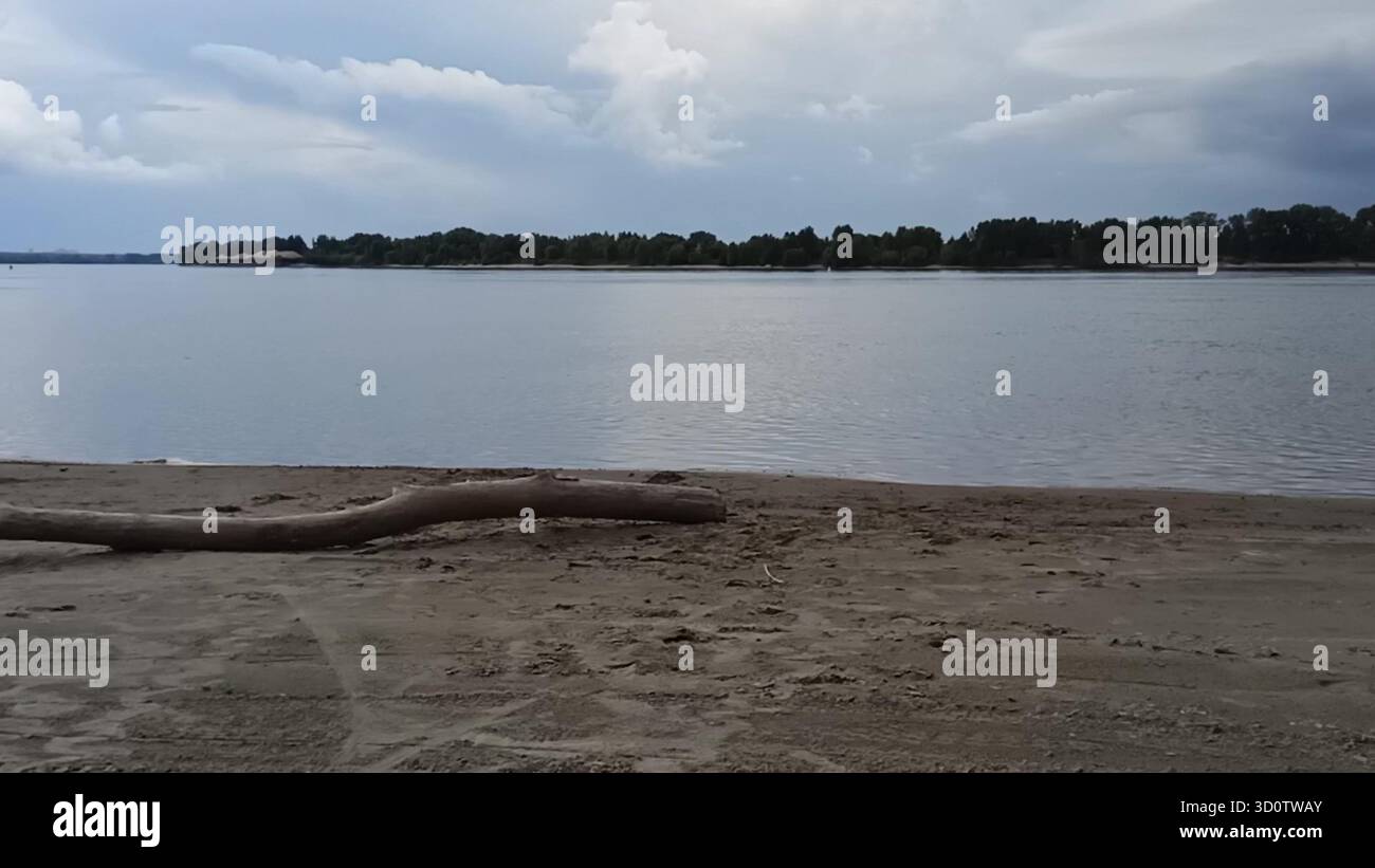 A dry crooked log on the sandy bank of a wide river with a view of the ...