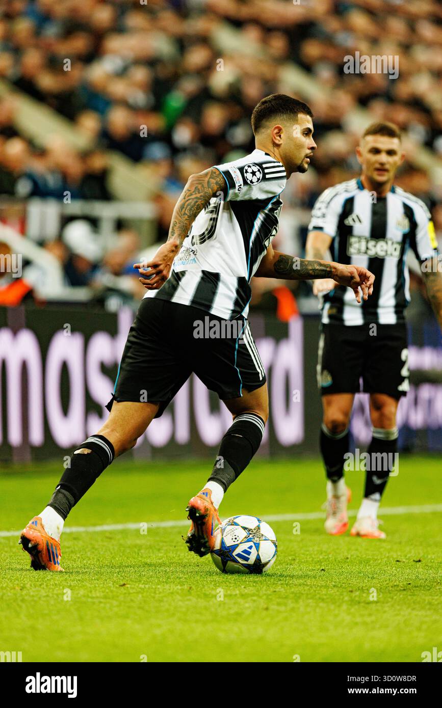Bruno Guimaraes seen during Champions League league phase game between ...
