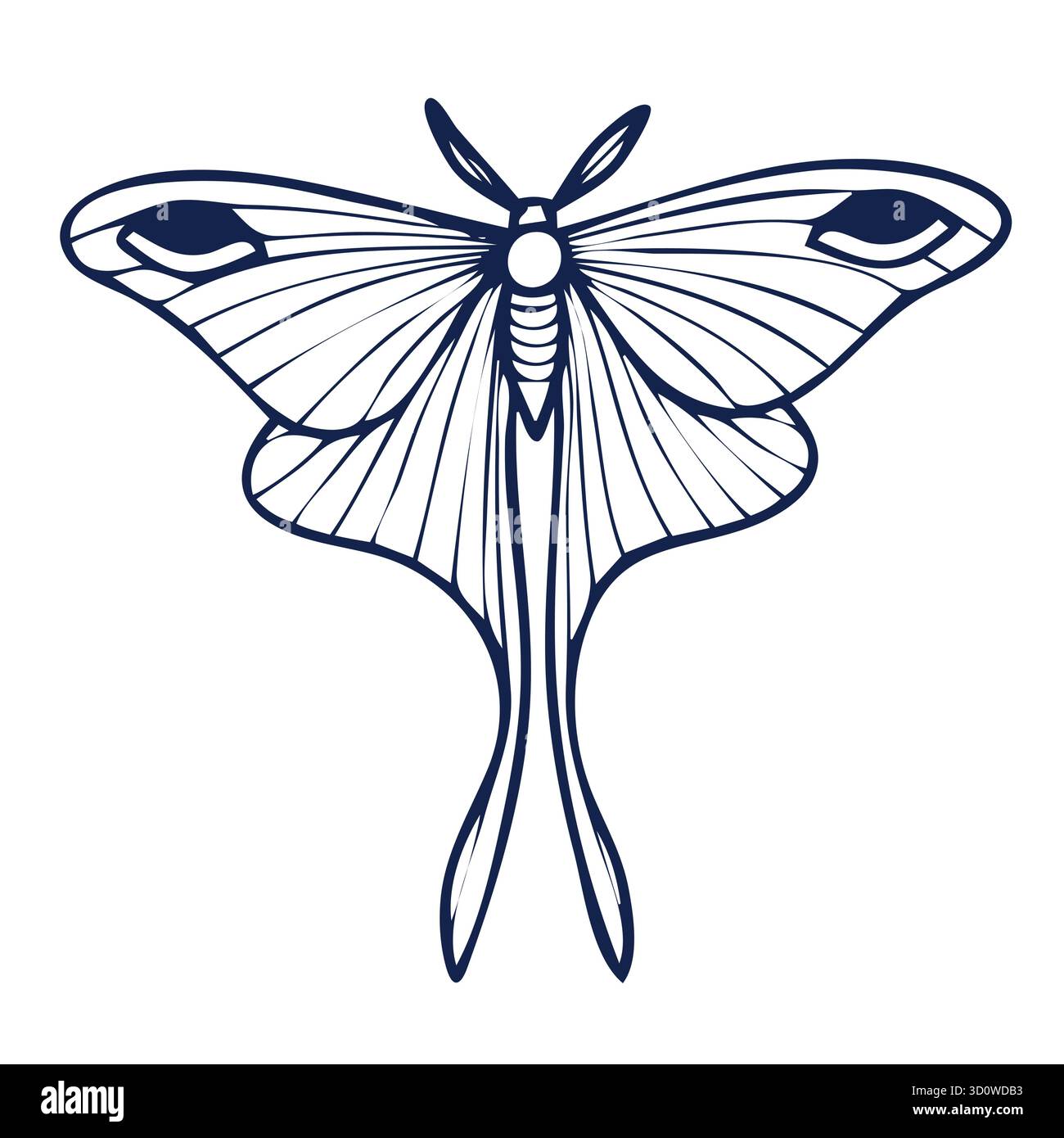 Vector moon moth with eyes. Stylized moth with eyes on wings isolated ...