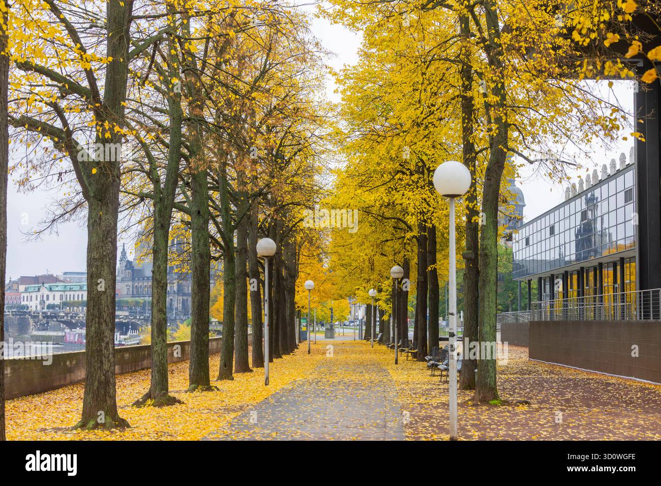 Dresden Herbst an der Neuen Terrasse an der Elbe. Dresden Sachsen ...