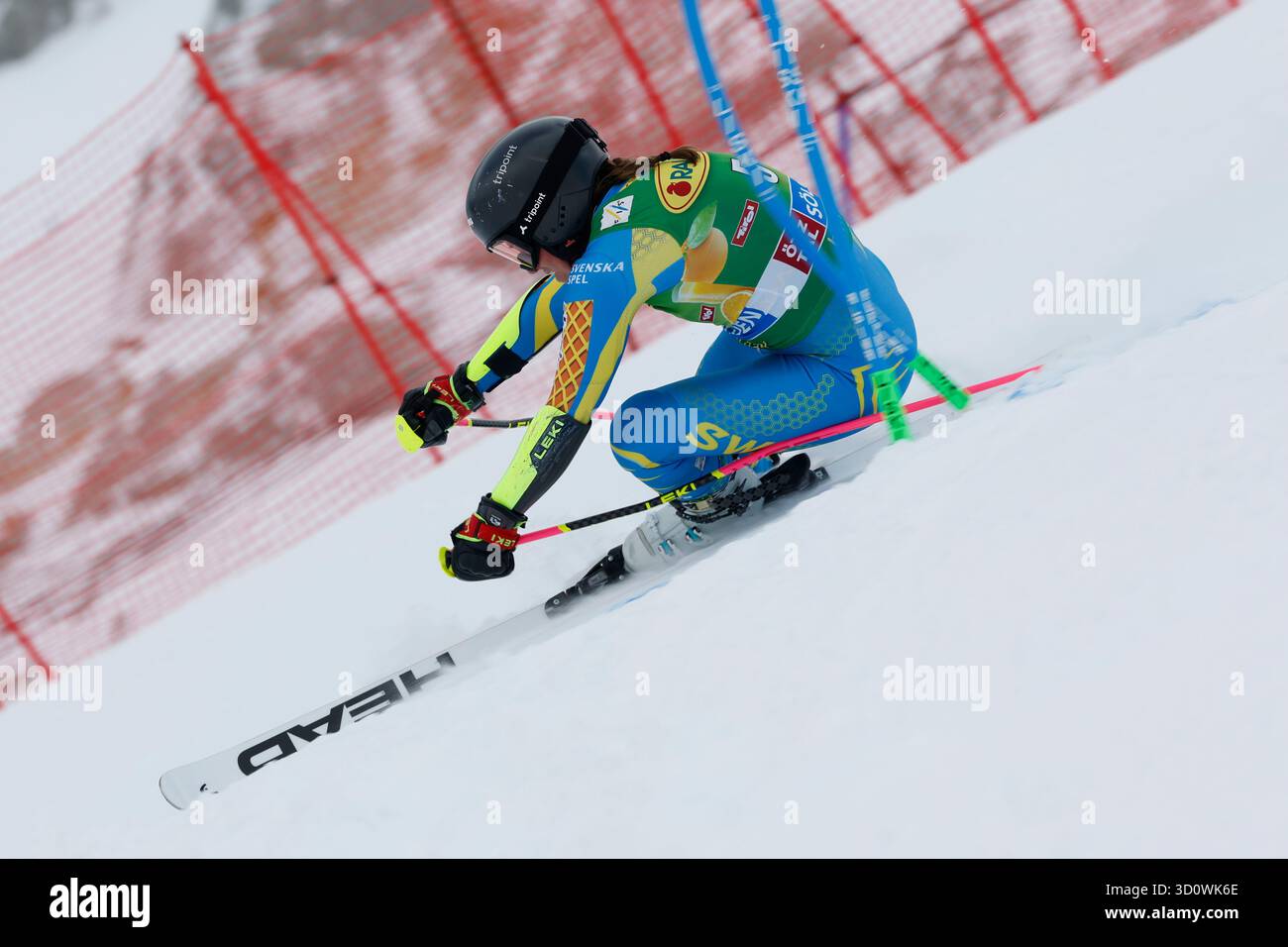 Sweden's Sara Hector competes in an alpine ski, women's World Cup giant ...