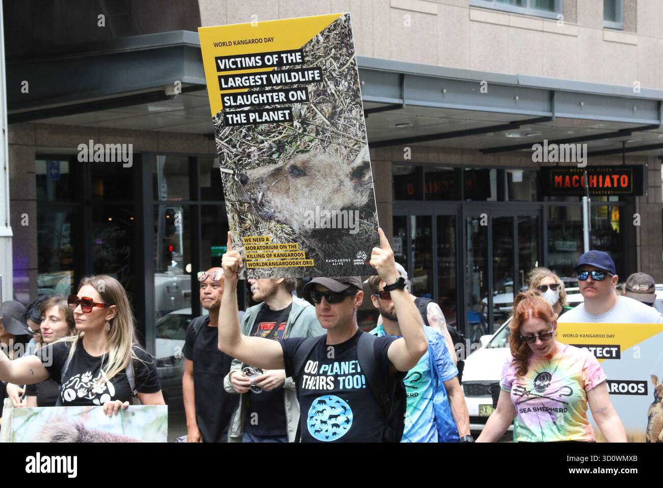 Sydney, Australia. 25th October 2025. A peaceful, powerful a silent ...