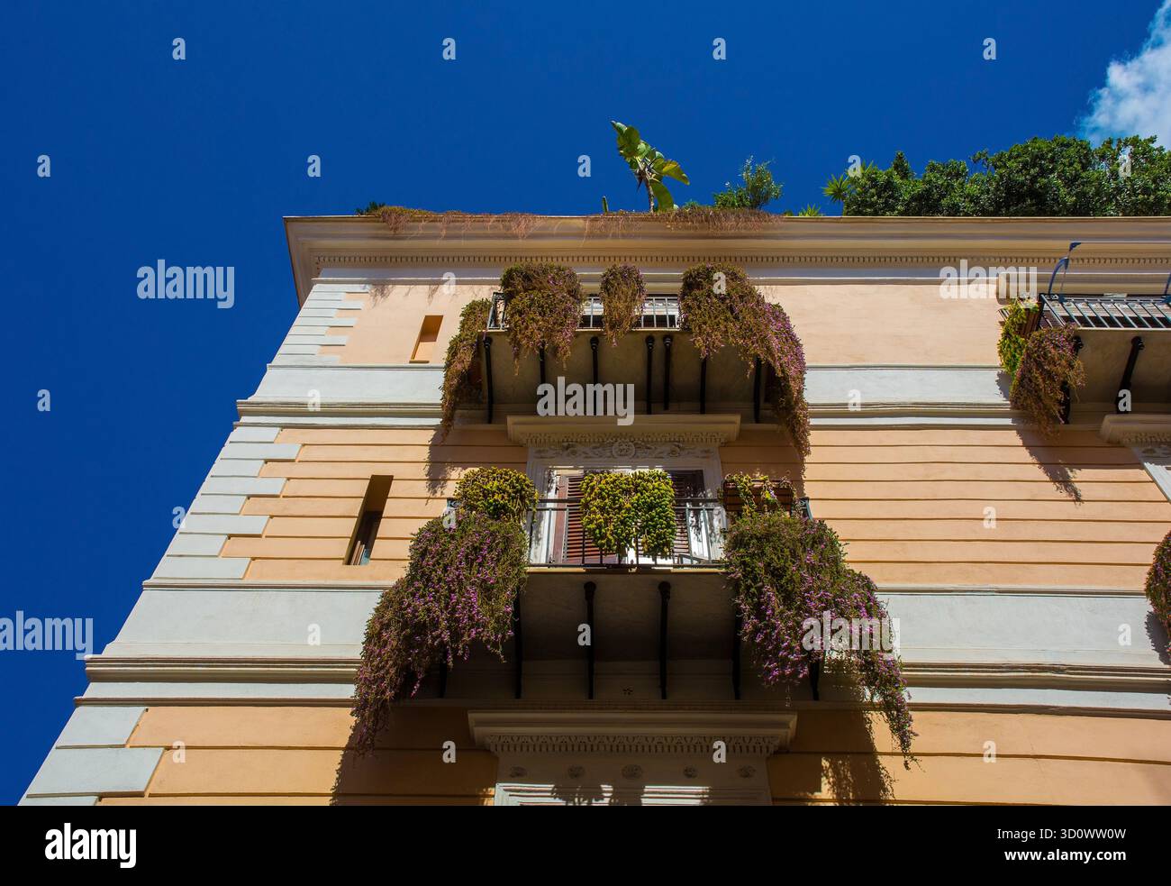 An historic building in Palermo, Sicily, Italy. A blend of classical ...