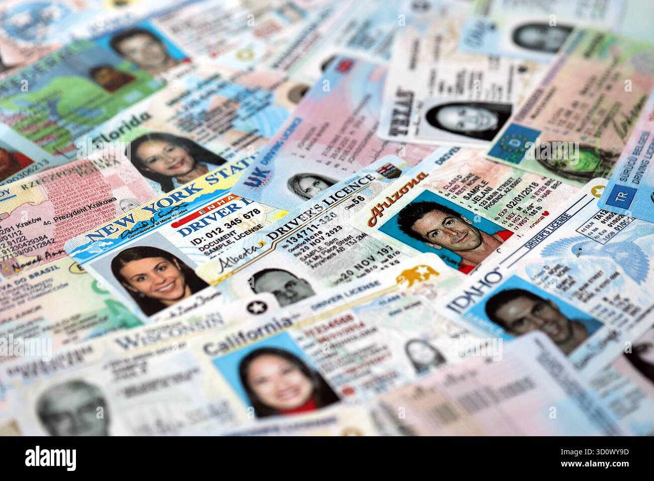 KYIV, UKRAINE - OCTOBER 1, 2025 Many driver license cards specimens in ...