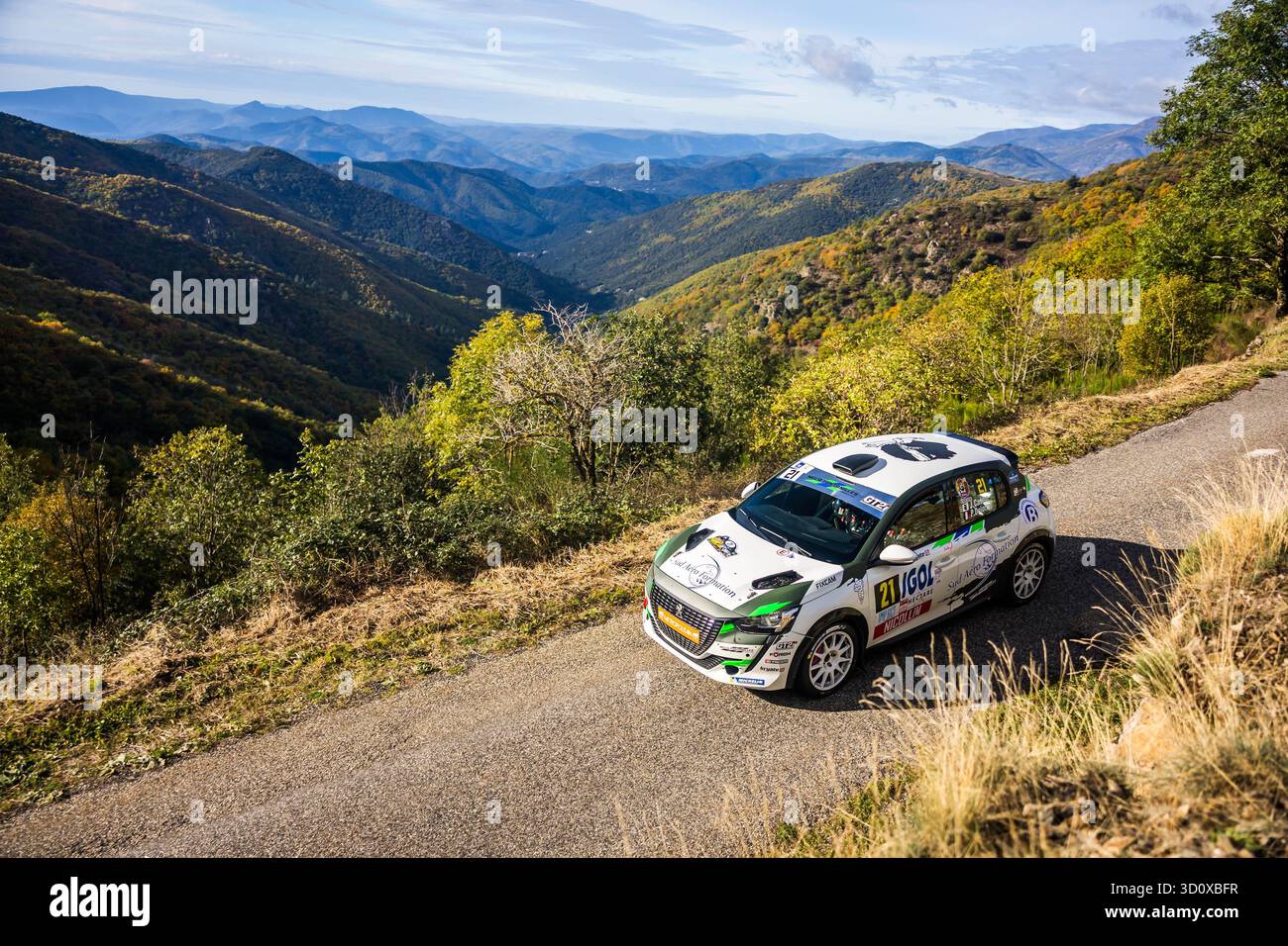 21 CASALE Julien, DELORME Pierre, Peugeot 208 Rally4, action during the ...