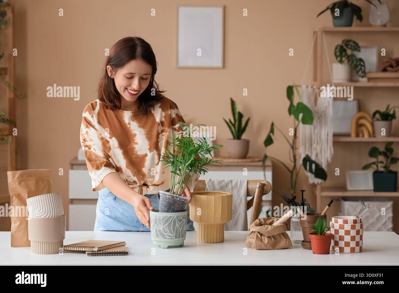 Adult gardener repotting houseplant hi-res stock photography and images ...