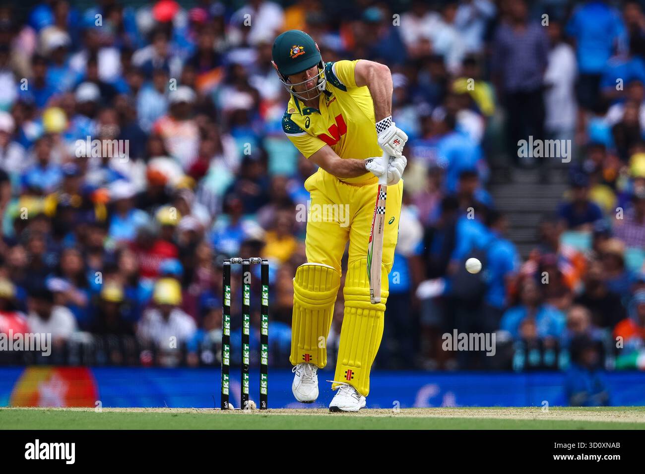 25th October 2025, Sydney Cricket Ground, Sydney, Australia; One Day ...