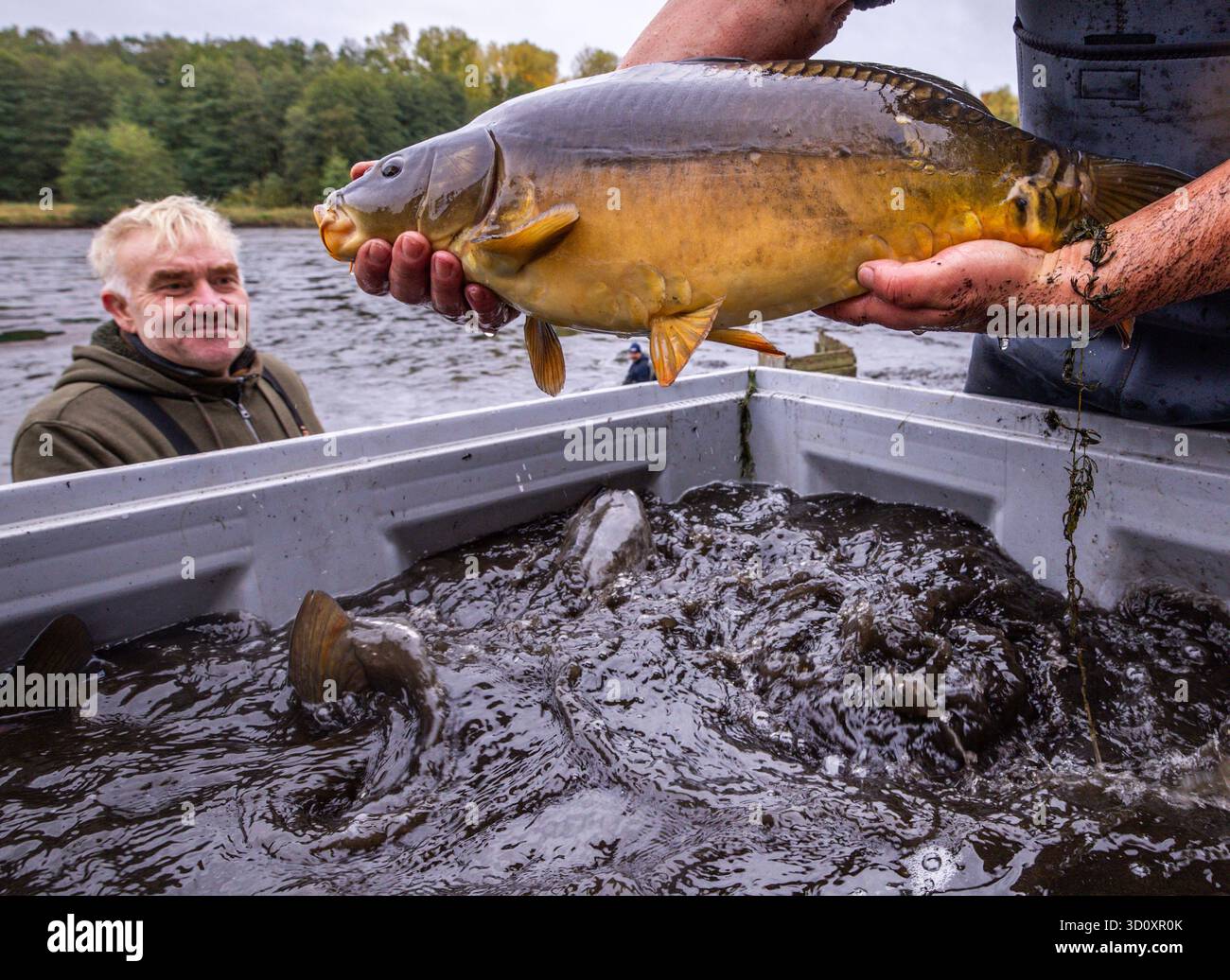 25 October 2025, Mecklenburg-Western Pomerania, Sternberg: Fisherman ...