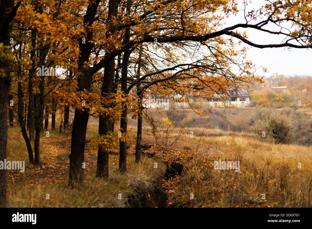 Narrow ditch cutting through hi-res stock photography and images - Alamy