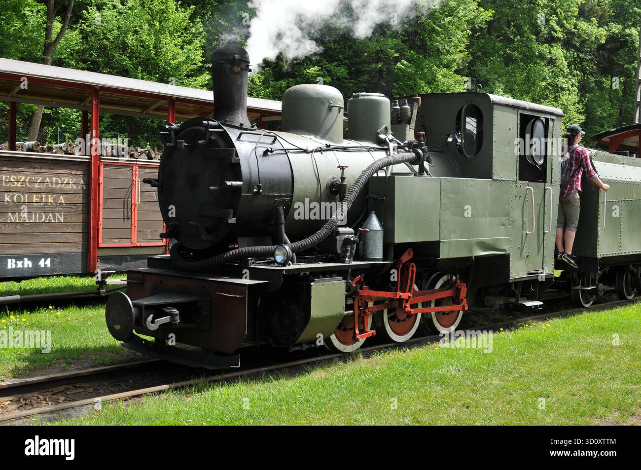Historic narrow-gauge steam locomotive at Majdan station near Cisna ...