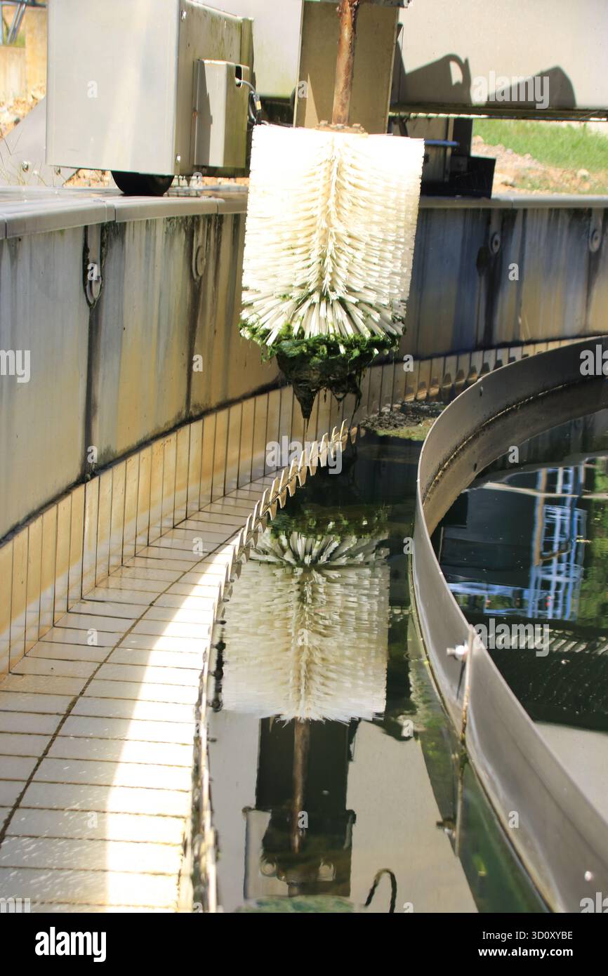 Brush for cleaning the gutter in the secondary clarifier of a sewage ...