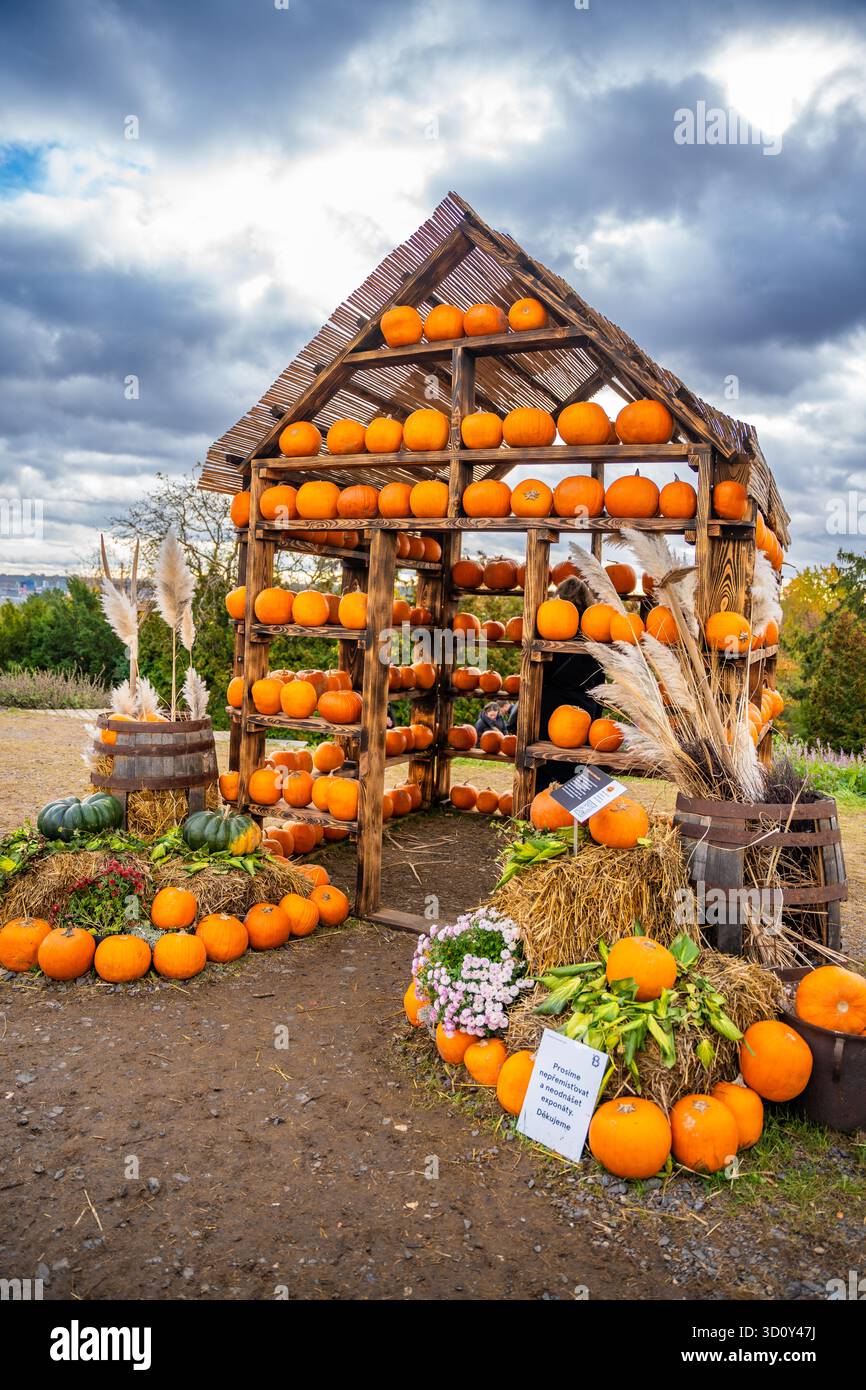 Prague, Czech republic - October 25, 2025: Pumpkin exhibition in the ...