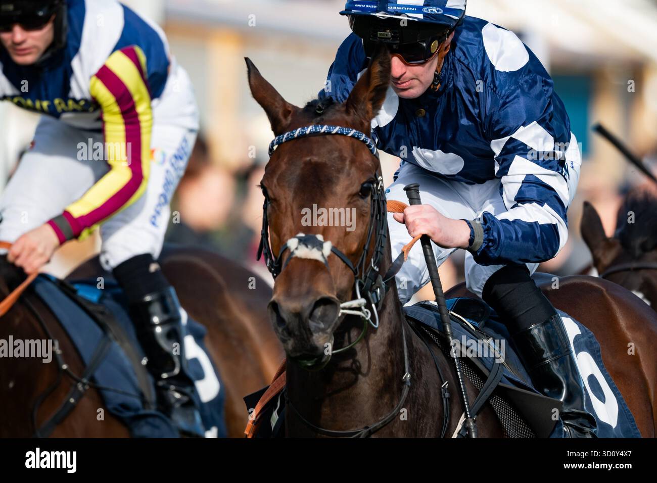 One spirit syndicate hi-res stock photography and images - Alamy