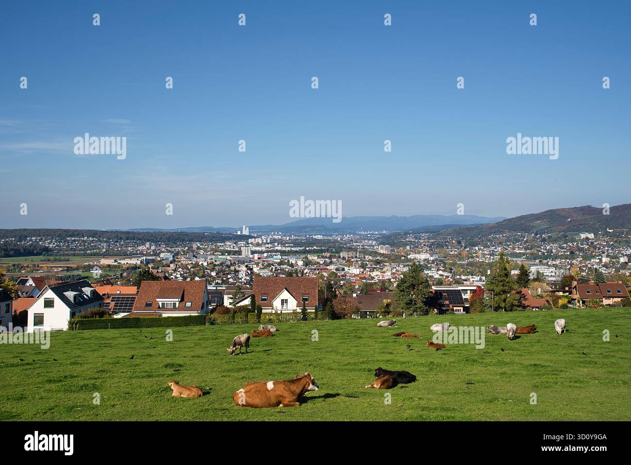Pfefffingen BL,View over the aglomeration of Basel, Baselstadt to the ...