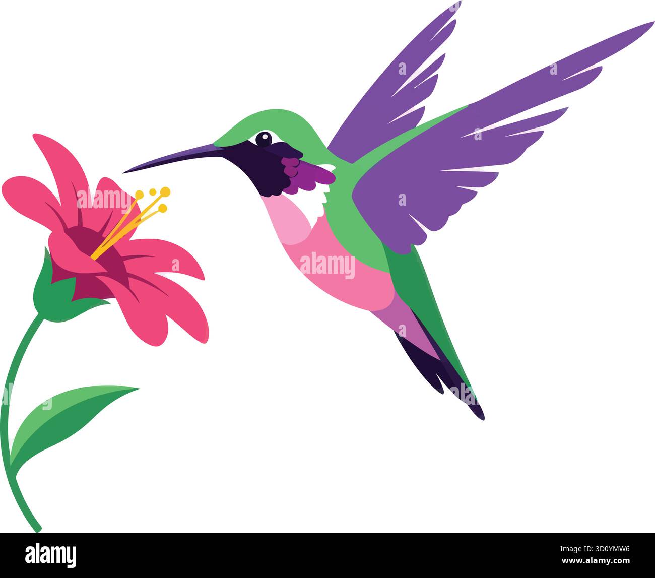 Hummingbird for posters hi-res stock photography and images - Alamy