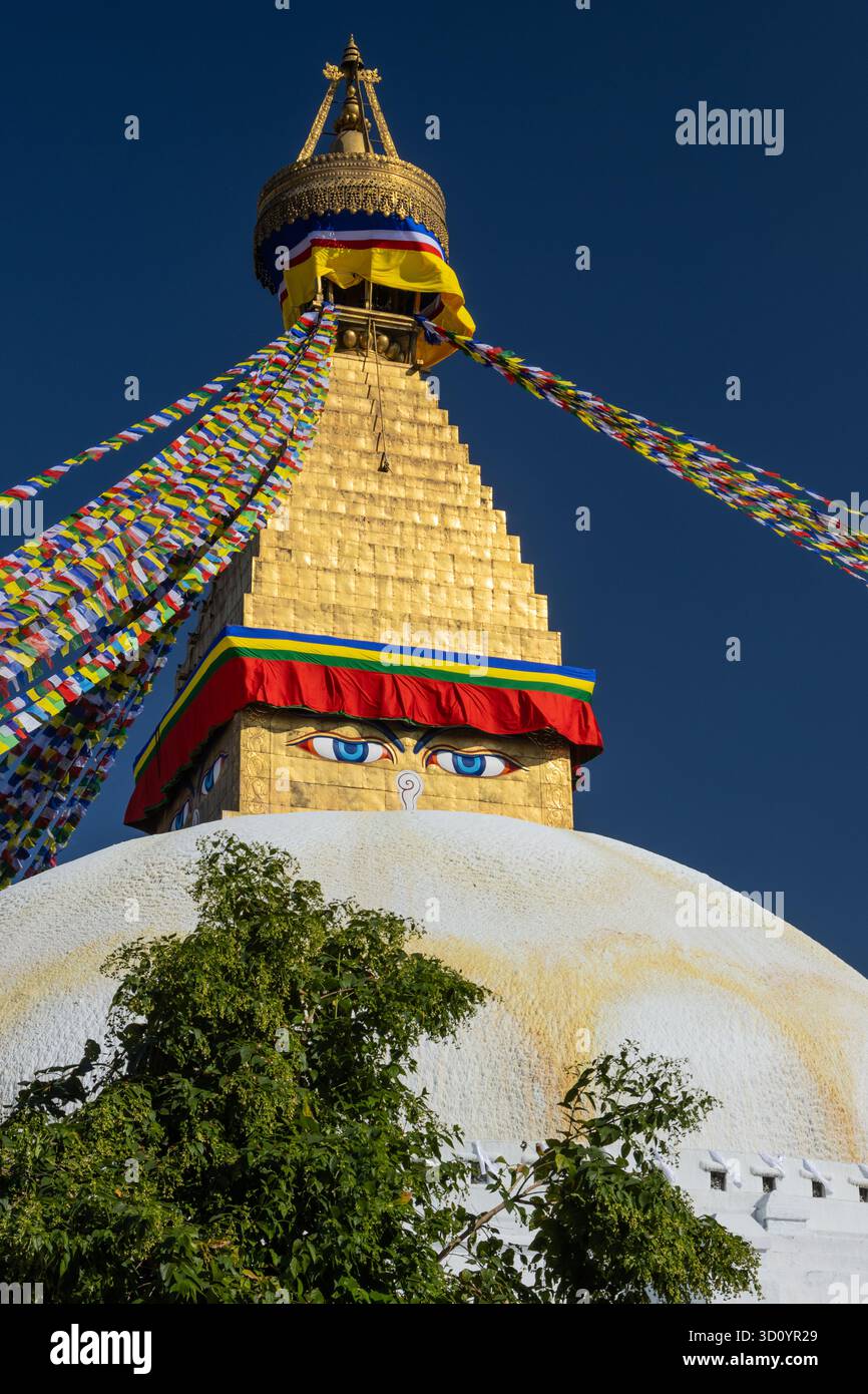 Boudha Stupa, the largest stupa in Nepal, Buddhist religious complex ...