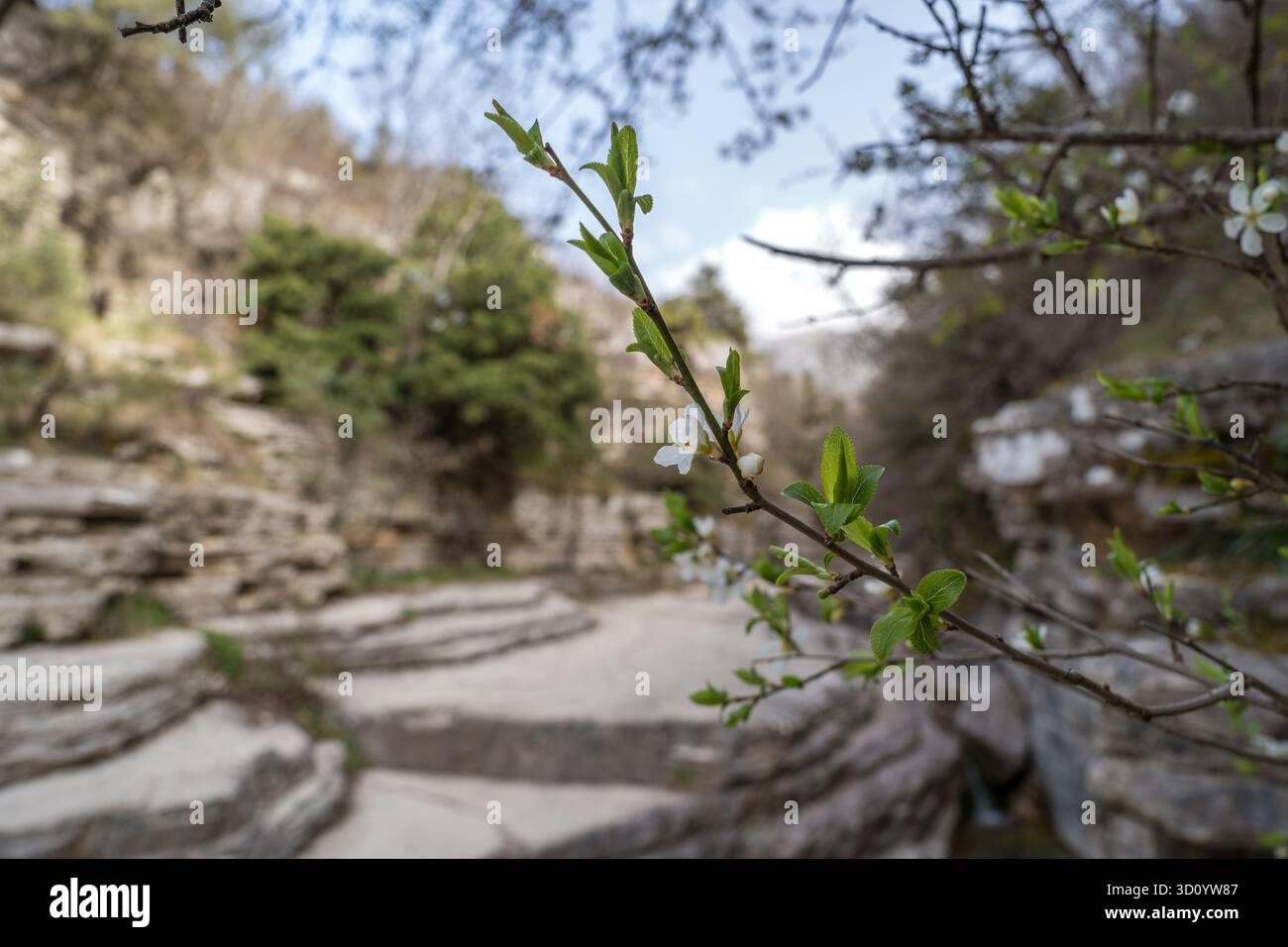 Beautiful natural rock pools in Papingo, Epirus, Greece. These ...