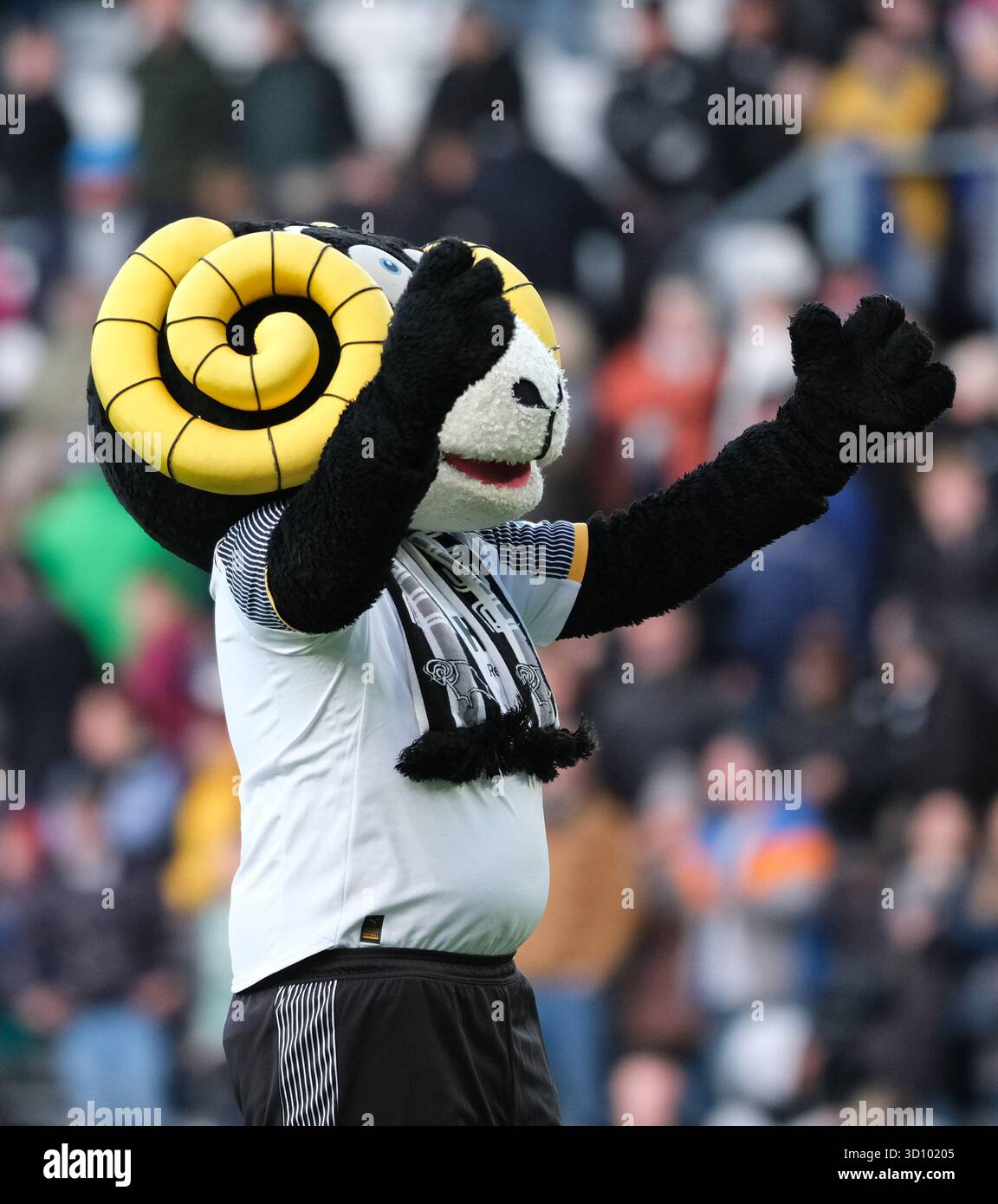 Rammy the Derby County mascot at full time during the EFL Championship ...