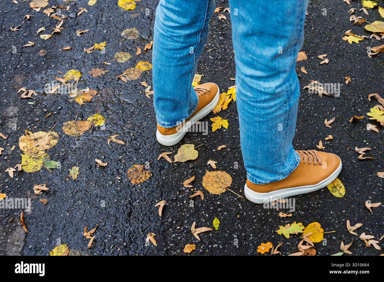 High-angle shot of legs in trendy denim and modern brown leather ...
