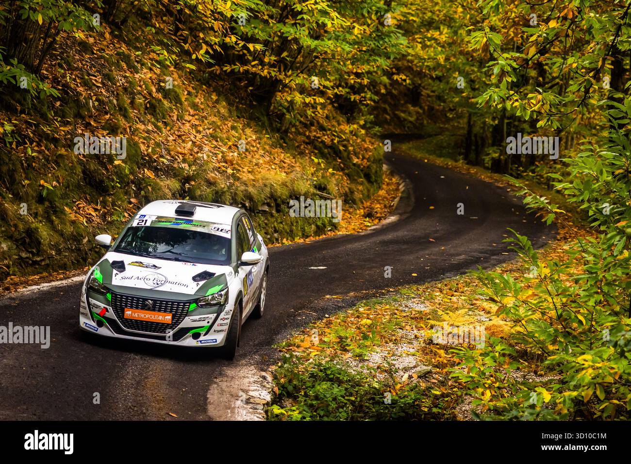 21 CASALE Julien, DELORME Pierre, Peugeot 208 Rally4, action during the ...