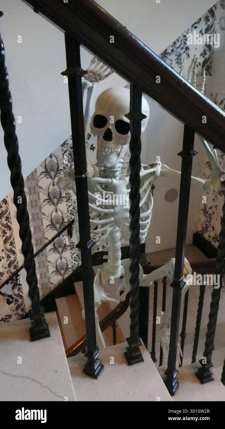 Culver City, California, USA 21st October 2025 Skeleton at The National ...
