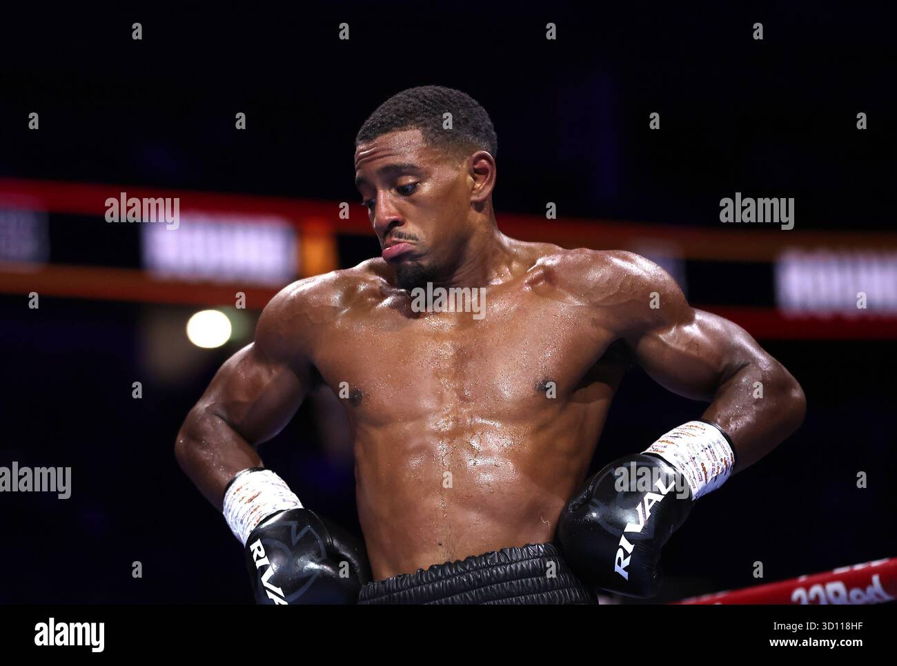 Ezra Taylor in the WBA Continental Gold light heavy weight championship ...
