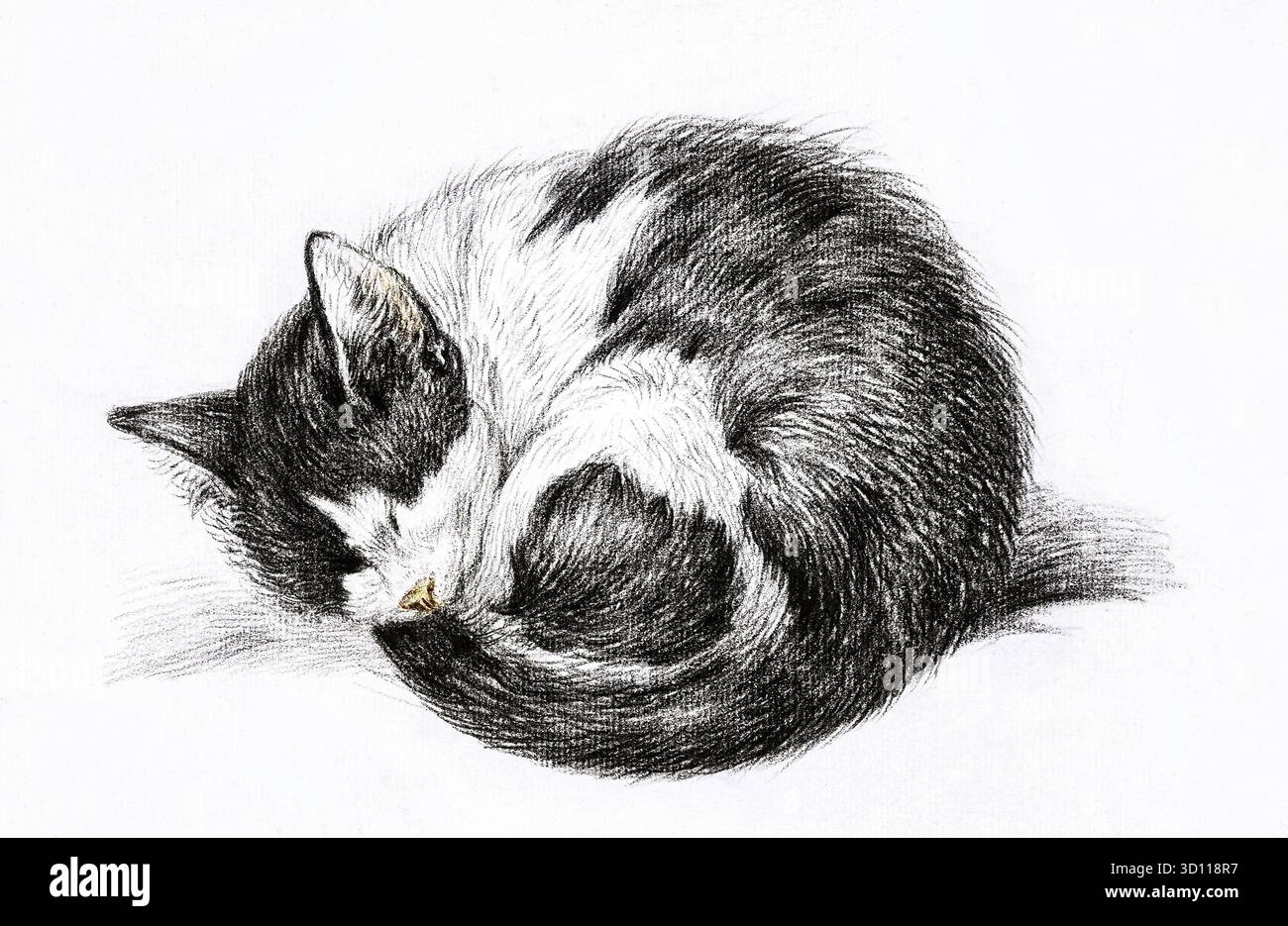 Classic image study Cut Out Stock Images & Pictures - Alamy