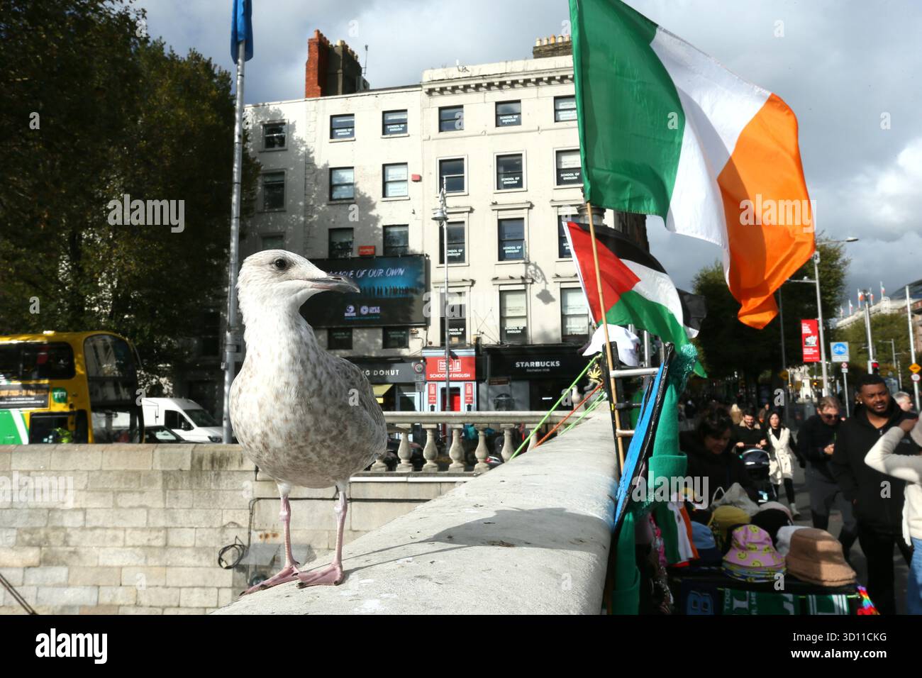 Dublin, Ireland - 24th October 2025 - A seagull stands on O'Connell ...