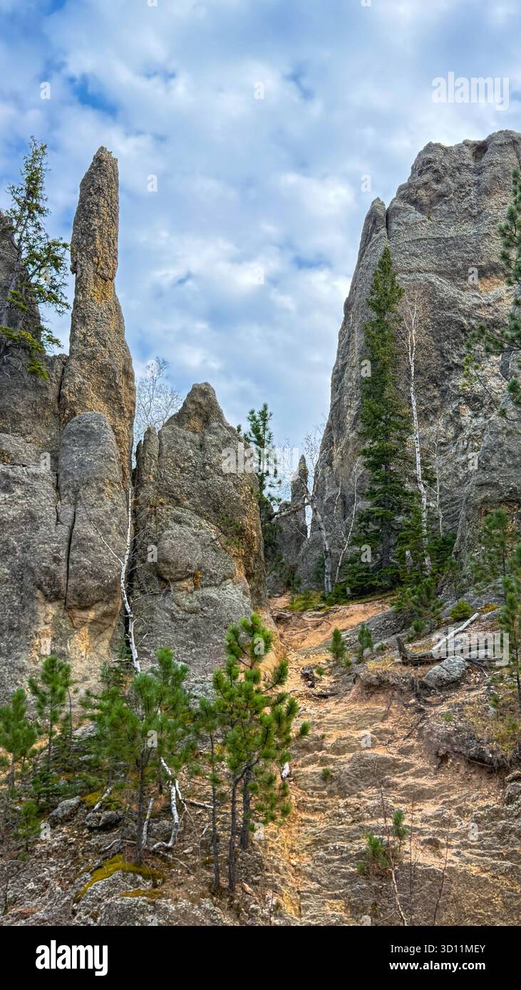 Tour Needles Highway in Black Hills with needle rock formations & trail ...