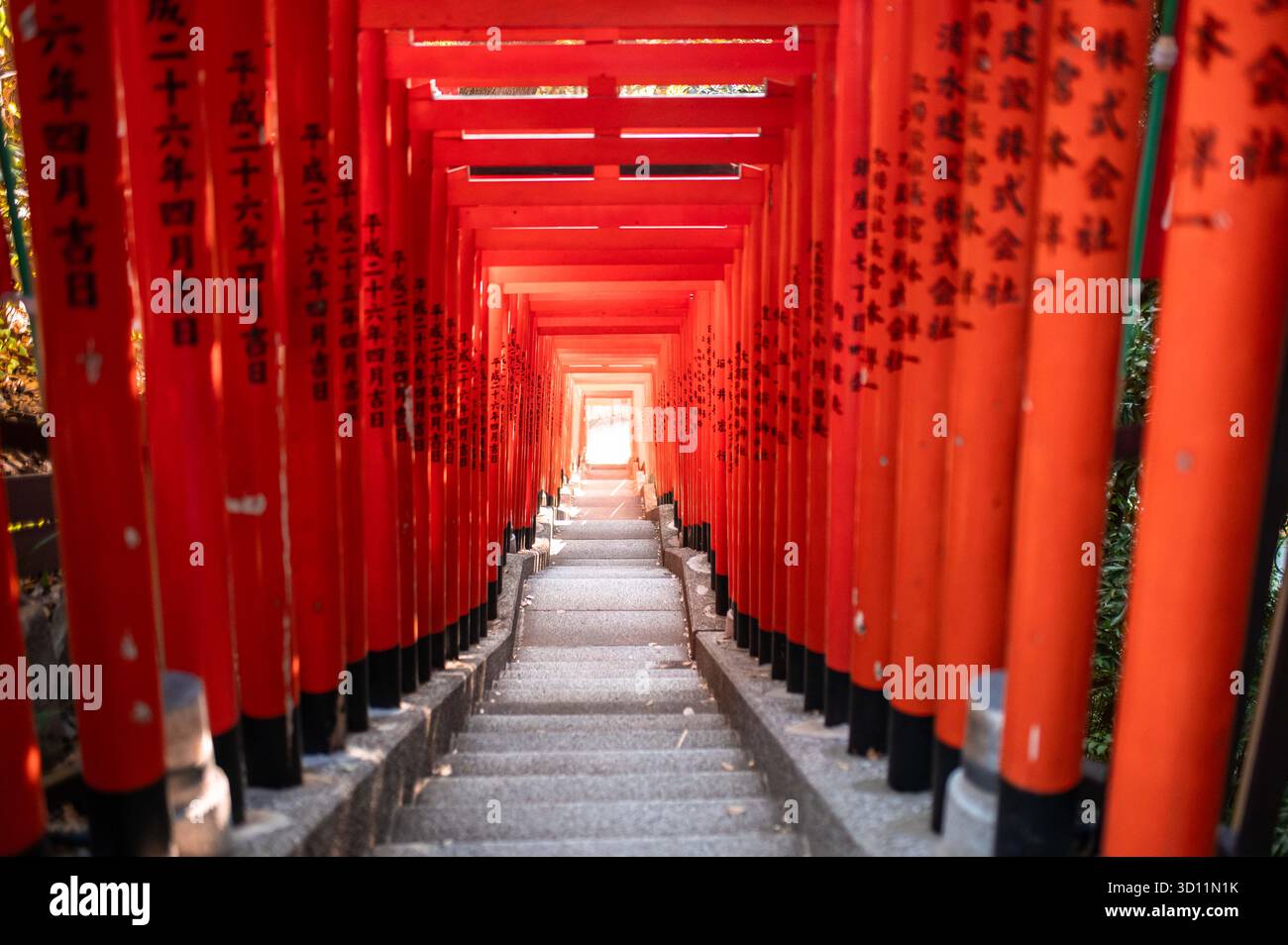 Red Torii Tunnel at Hie Shrine in Tokyo, Japan Stock Photo - Alamy