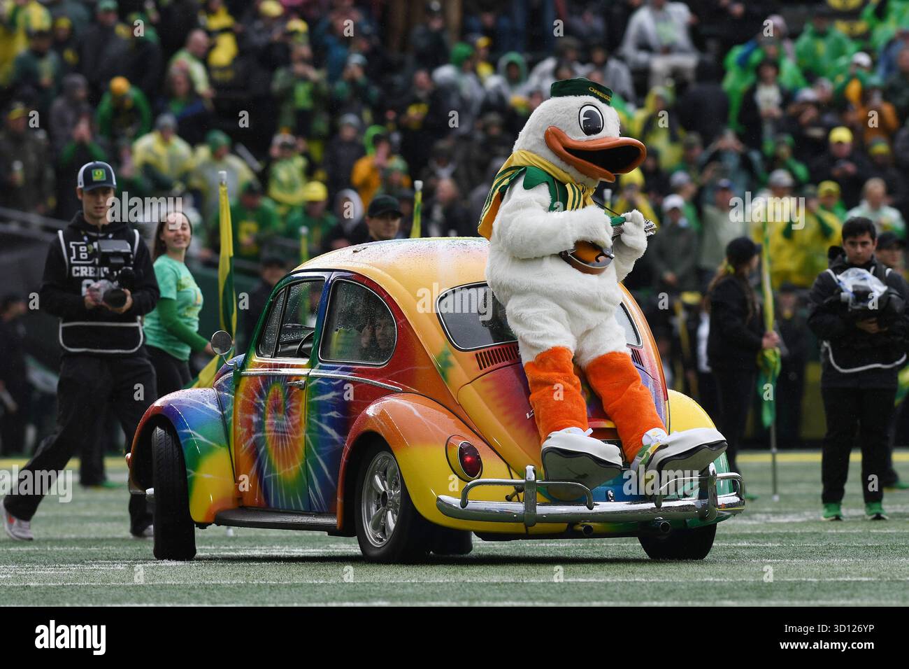 EUGENE, OR - OCTOBER 25: The Oregon Ducks mascot, Puddles, takes the ...
