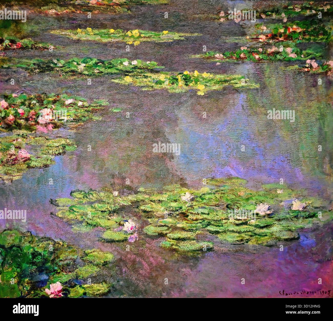 Nympheas water landscape Stock Vector Images - Alamy