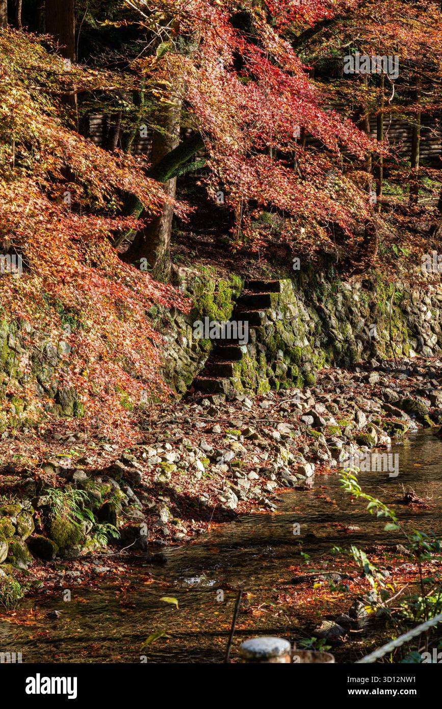 Kifune Shrine during fall season, famous shinto shrine located in Kyoto ...