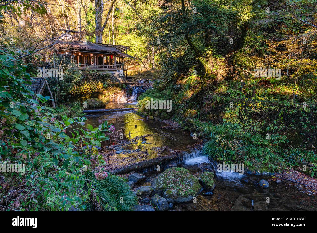 Kifune Shrine during fall season, famous shinto shrine located in Kyoto ...